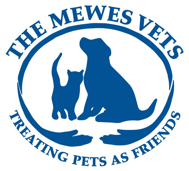 Vacancies - Vetsure for Vets